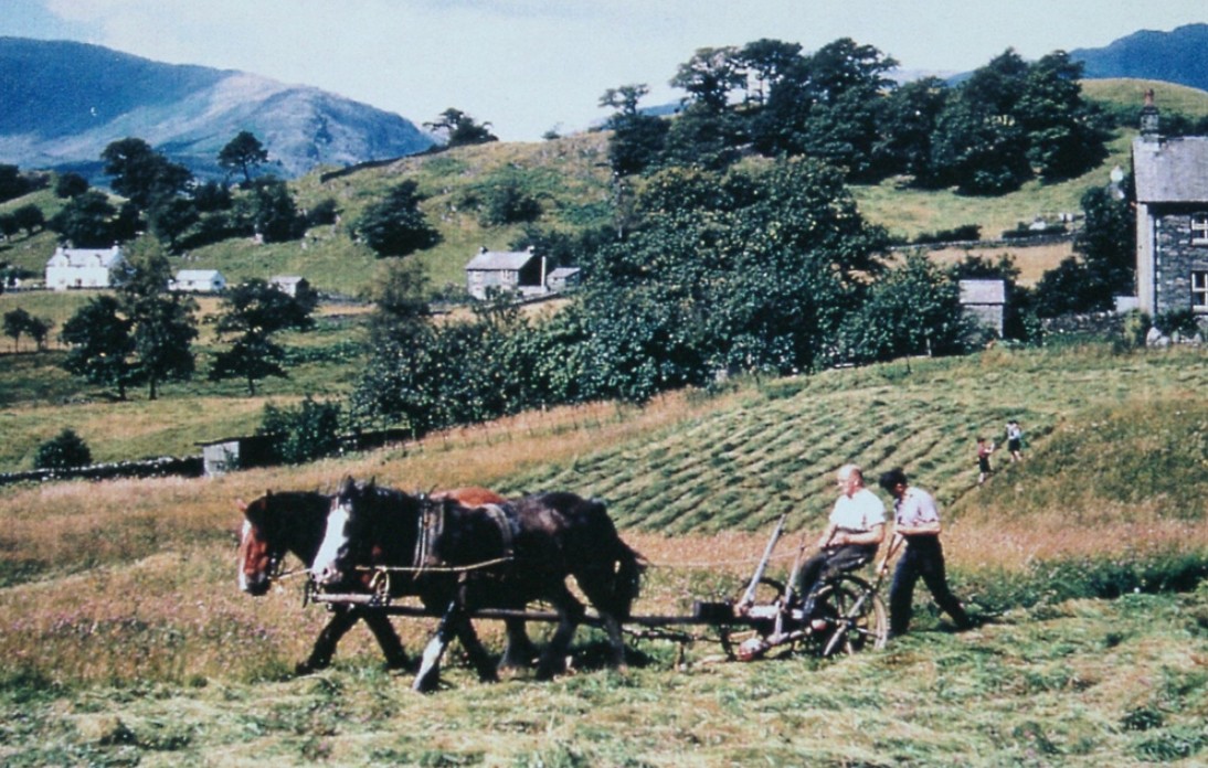 WORK Industry Commerce Farming MENU – Cockermouth History (click here ...